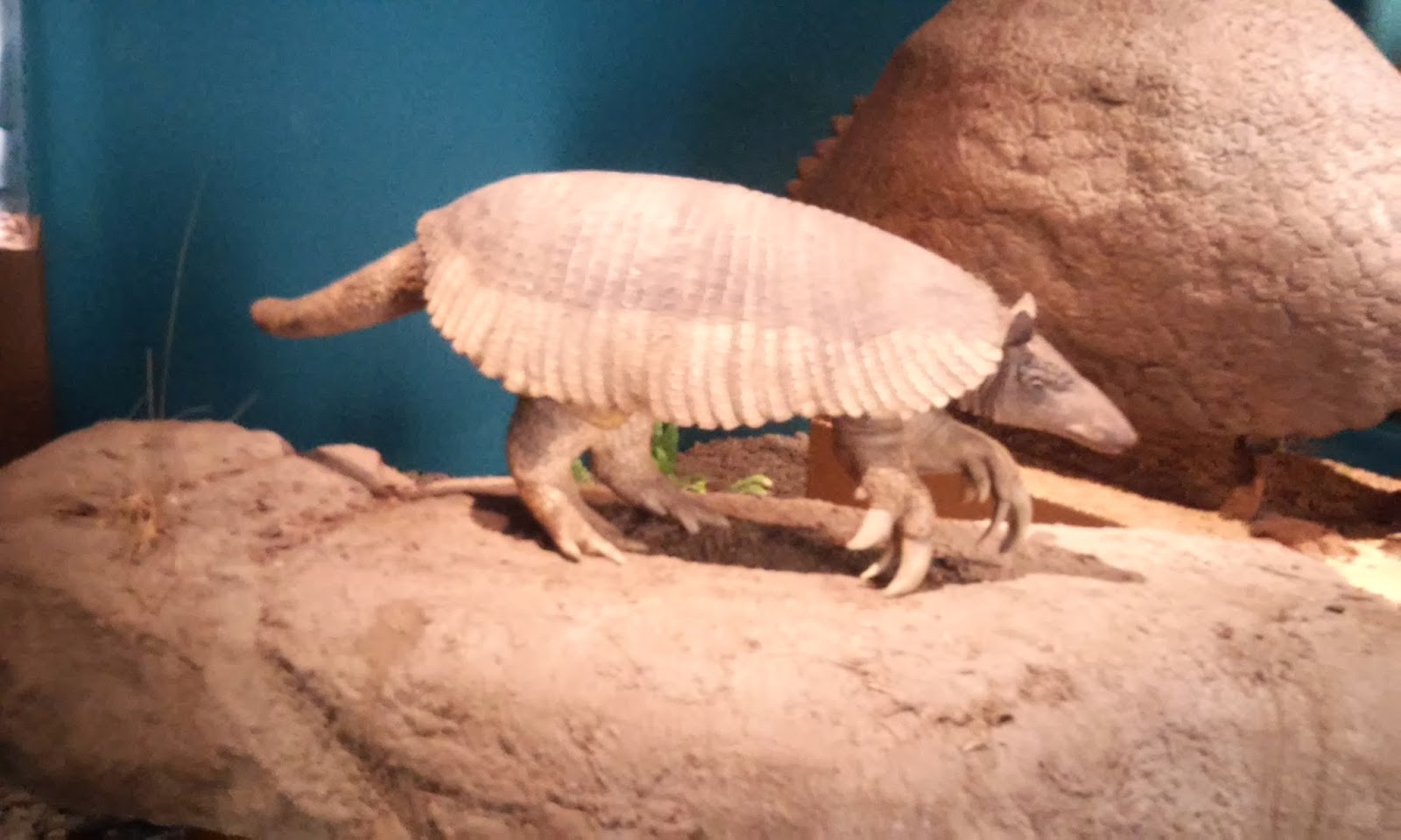 Cristopher Franco Biología 3: Darwin apto para todas las especies.